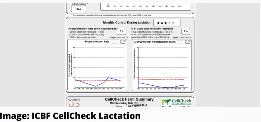 Making the most of milk records | Glasslyn Veterinary Surgery