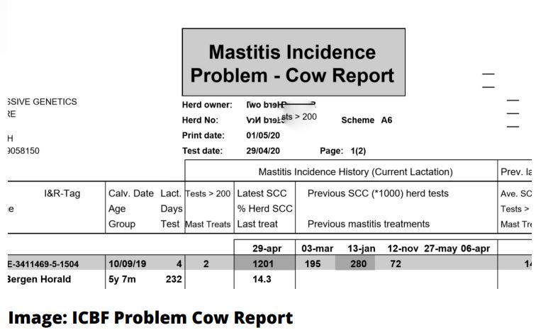 Making the most of milk records | Glasslyn Veterinary Surgery