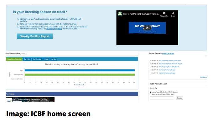Making the most of milk records | Glasslyn Veterinary Surgery
