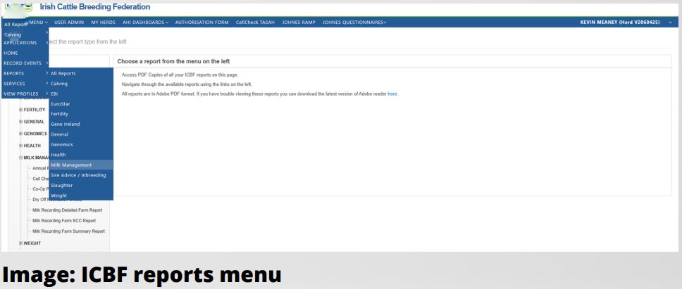 Making the most of milk records | Glasslyn Veterinary Surgery