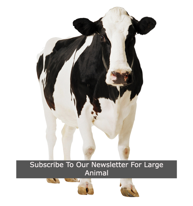 Cow Start Bolus per pack – Glasslyn Veterinary Surgery