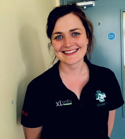 Our Team | Glasslyn Veterinary Surgery