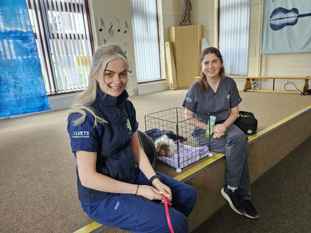 Inspiring Young Minds – Glasslyn Veterinary Surgery